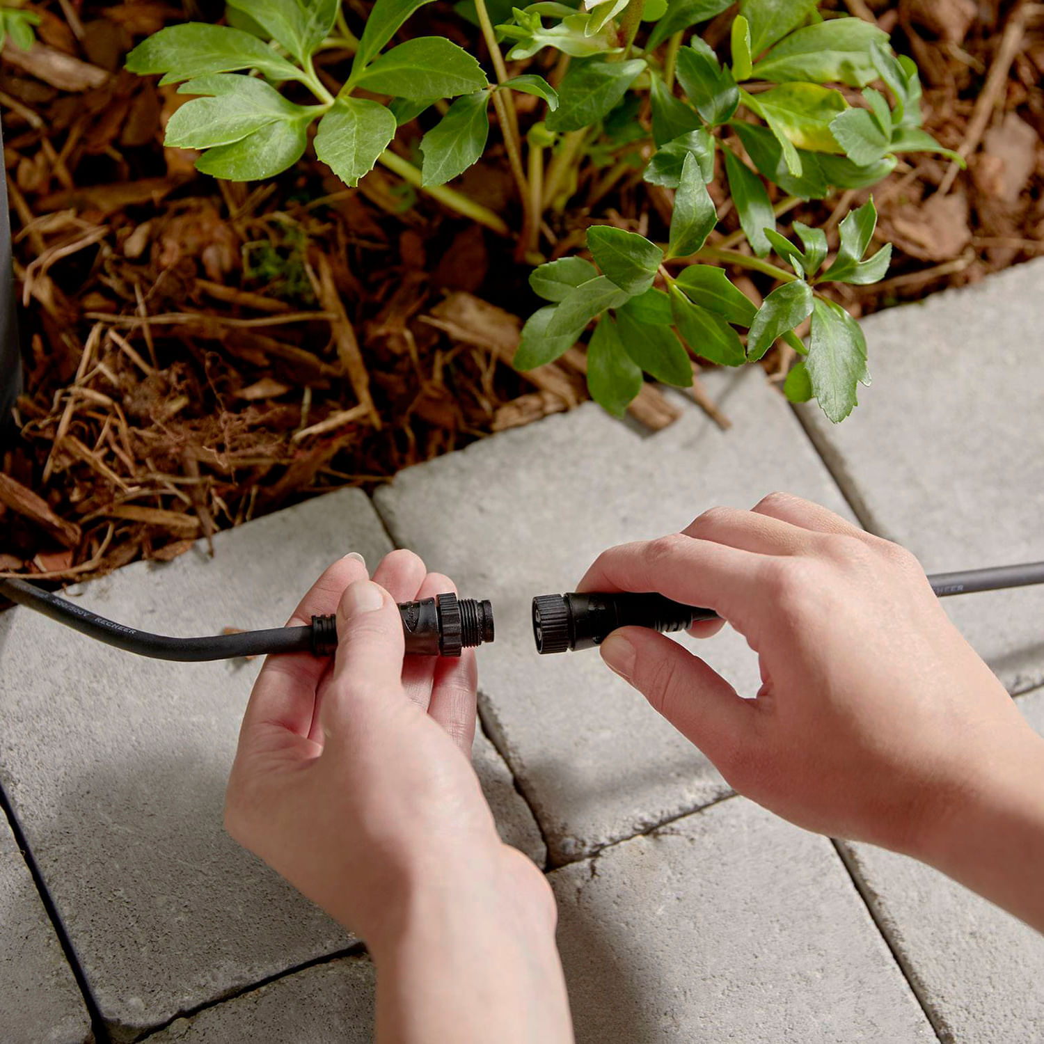 Conector t philips hue smart para jardín ip67 - LED Studio